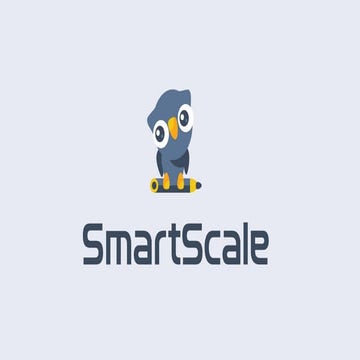 SmartScale Salary and HR benchmark | PDF