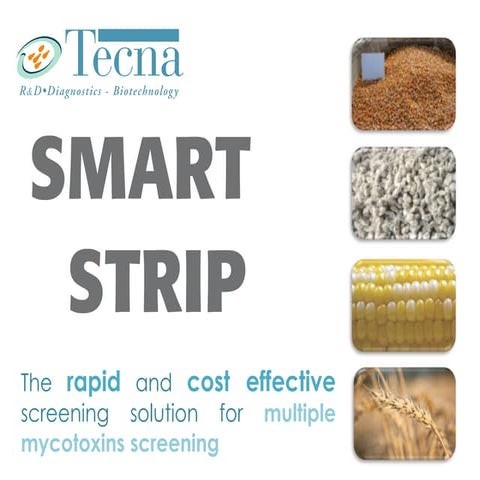 Smart strips - Tecna rapid tests for mycotoxins | PPTX