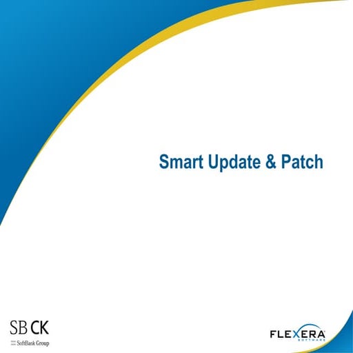 Smart update & patch | PDF