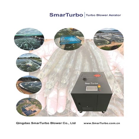 SmarTurbo Turbo Blower Aerator Brochure.pdf