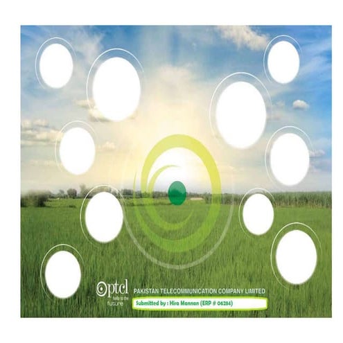 Company Analysis - PTCL | PDF