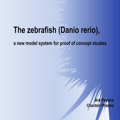 Zebra fish model | PPTX