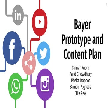 Bayer Prototype and Content Plan | PDF