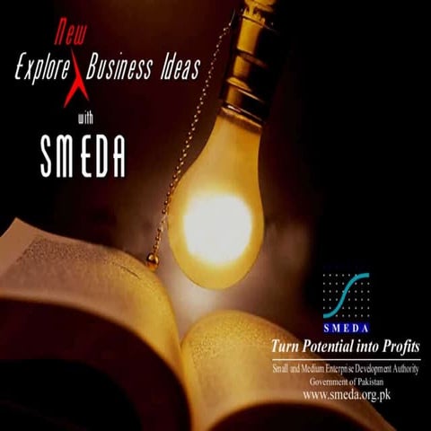 Smeda | PPTX | Small and Medium-sized Business | Business