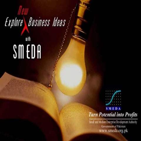 Smeda | PPTX | Small and Medium-sized Business | Business