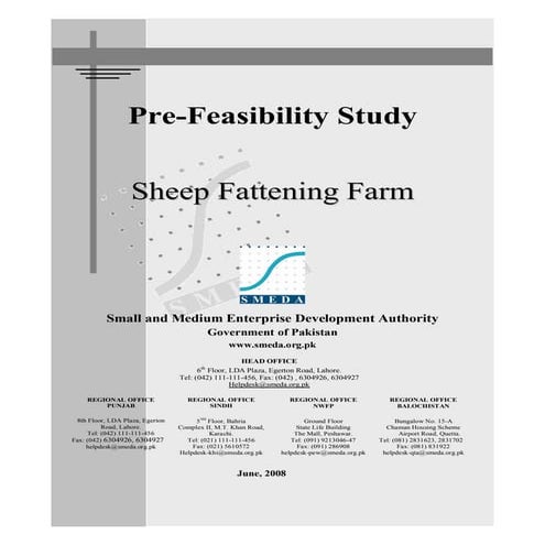 SMEDA Sheep Fattening Farm.pdf