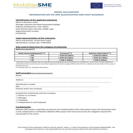 Sme & employment relationship declaration template manager.docx signed ...