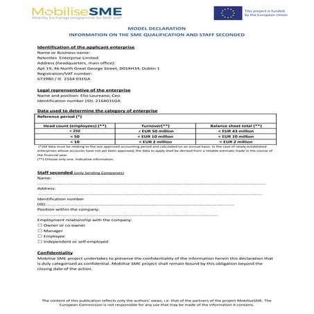 Sme & employment relationship declaration template relentless.docx ...