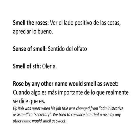 Smell Vocabulary and expressions | PPTX