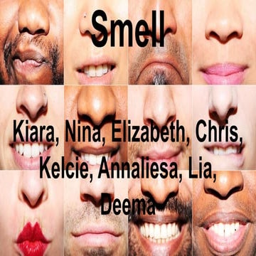 Sense of smell(nose.ppt grade 3) | PPT