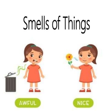 Smells of Things | PPTX