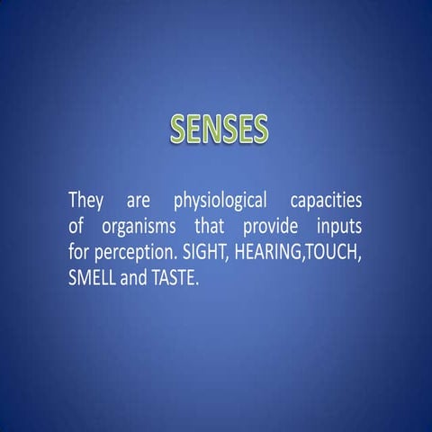 Smell touch and taste | PPT