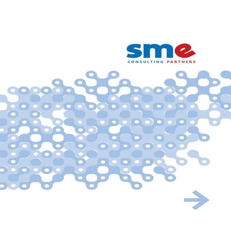 SME Consulting Partners offer | PDF