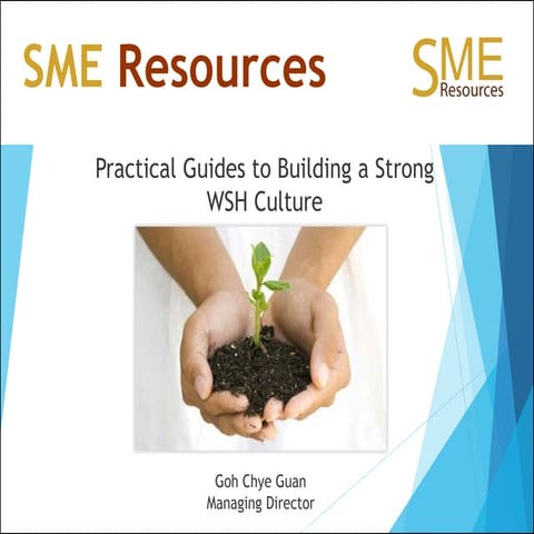 Practical Guides to WSH Culture | PDF