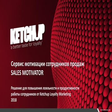 Sales Motivator service in Ukraine by Ketchup Loyalty Marketing | PDF