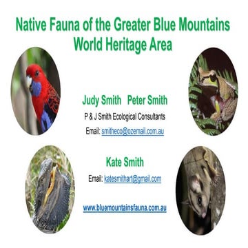 Native Fauna of the Greater Blue Mountains World Heritage Area | PPTX