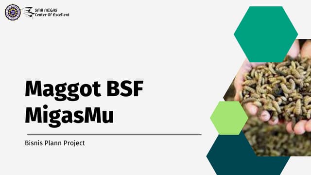 Budidaya Maggot Black Soldier Fly (BSF).pptx