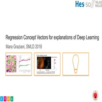 Regression Concept Vectors for Deep Learning | PPT