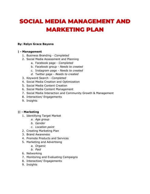Smm plan | PDF