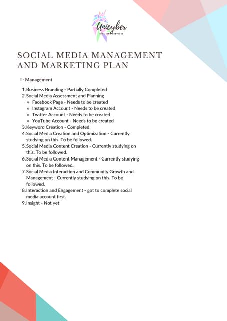 SMM Plan | PDF | Social Networking | Internet