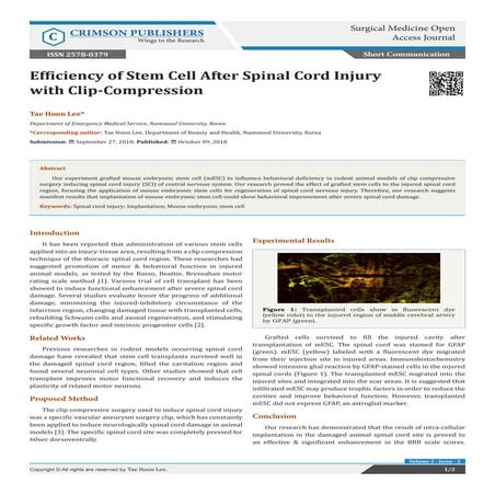 BASEM-Poster-presentation Concussion | PPTX
