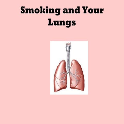 Smoking and your lungs | PPT