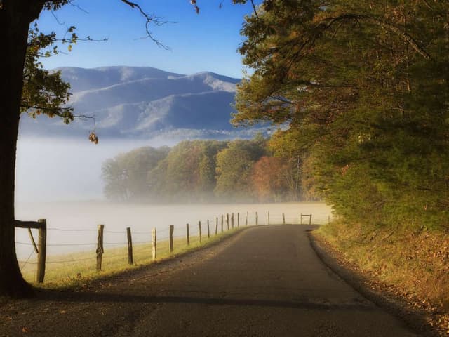 Captivating Examples Of Silhouette Photography