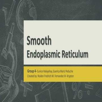 Smooth Endoplasmic Reticulum | PPTX