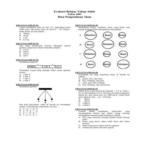 Smp -ipa_1991 | PDF