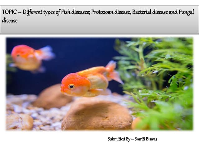 PARASITIC DISEASES OF FISHES.pptx