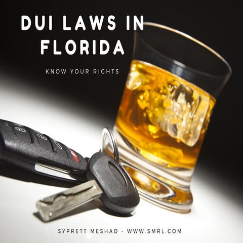 DUI Laws in Florida | PDF