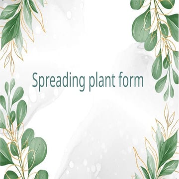 Tree form and plant form landscape analysis.pptx