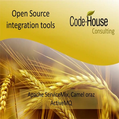 Open Source integration tools | PPT