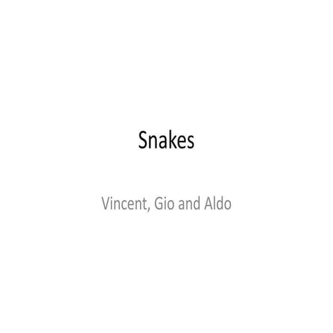 Snake | PPT