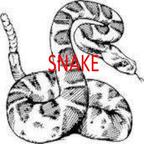 1st Conditional | PPT