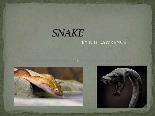 Hunting Snake by Judith Wright | PPTX