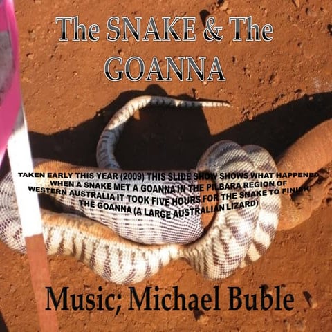 The Snake & The Goanna | PPS