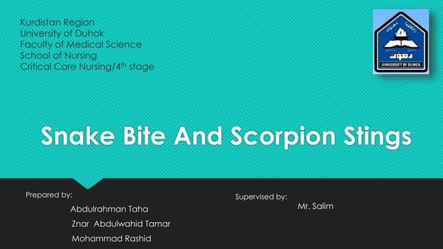 DESERT SNAKE SCORPION AWARENESS.pptx hse | PPTX