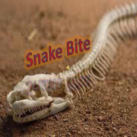 Snake bite | PPTX