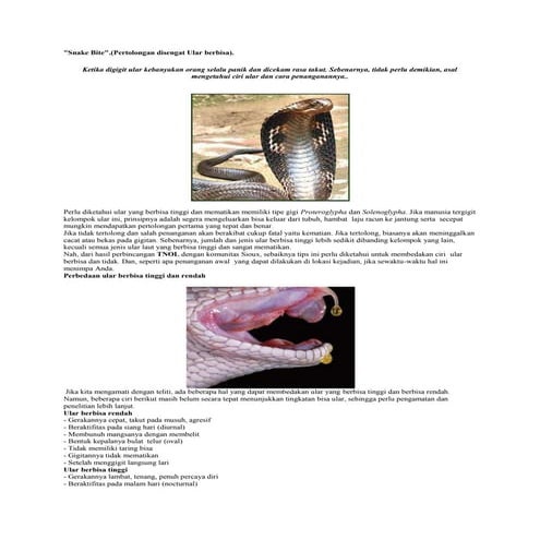 Snake bite | DOCX
