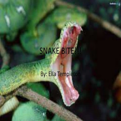 Snake bite!!! | PPTX