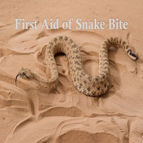 snakebite-161023221035 (1) final ppt.pptx