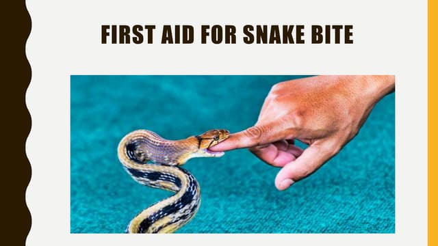 Basic safety against snake bite at work place | PPTX