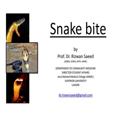 Basic safety against snake bite at work place | PPTX