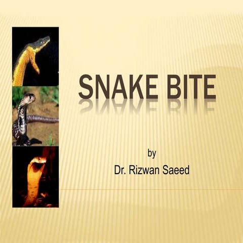 Snake bite 2014 handout - ANMC | PPTX