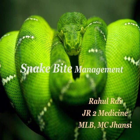 snake bite management | PPTX