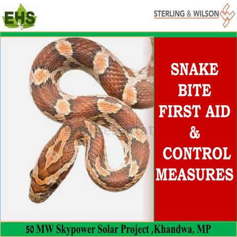 Snake bite first aid & control measures ppt 2 | PPTX