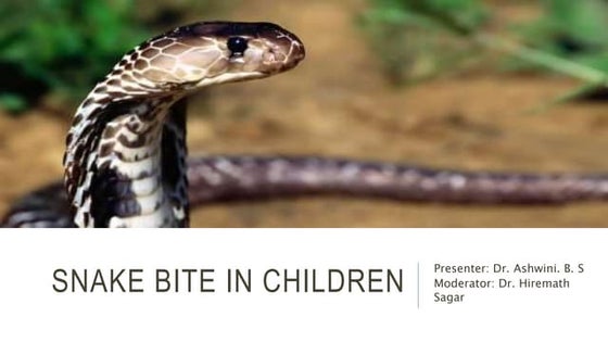 Types of Snakes bite and their management | PPT