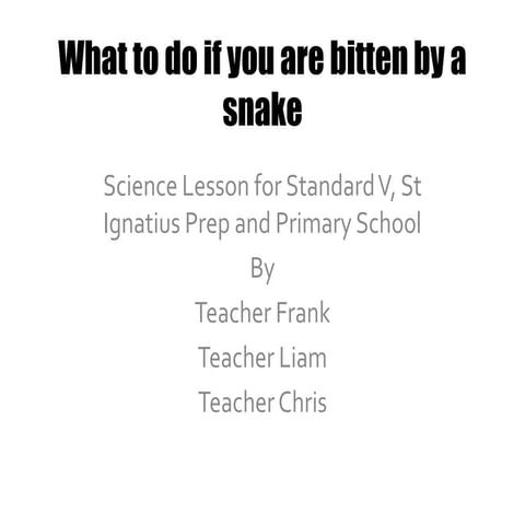 Snake bite lesson | PPTX