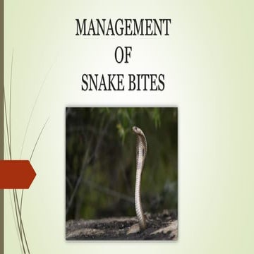 Snake Bite Management.pptx